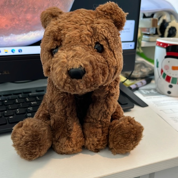 Gund | Other | Gund Bear | Poshmark